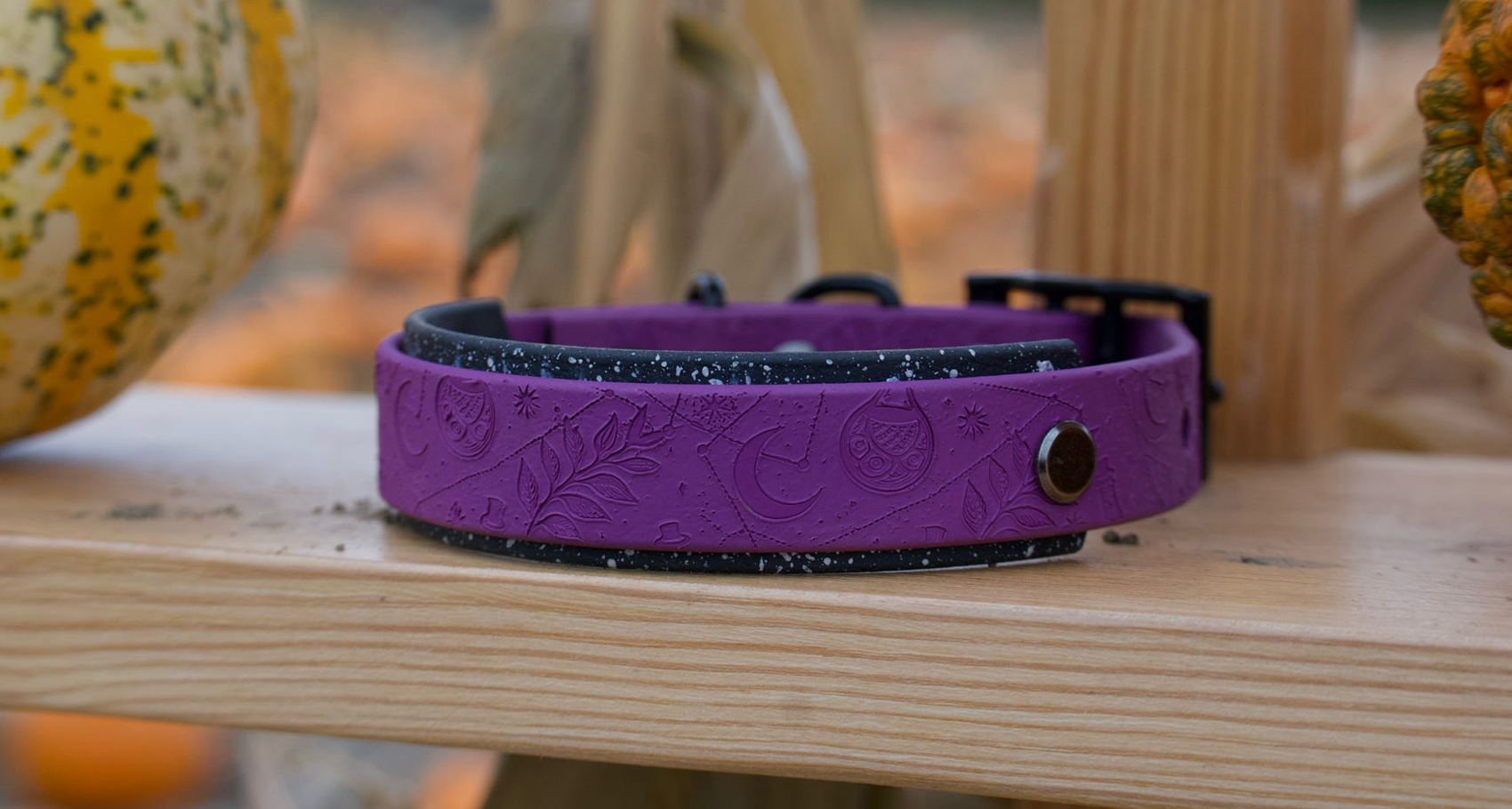 Collar Spotlight: Freya's Spellbound Hound Collar – Woof and Snout